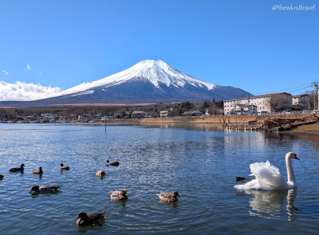 Tokyo 2025: MOUNT FUJI DAY TRIP WITH KIDS – Our Easy, Stress-Free ...